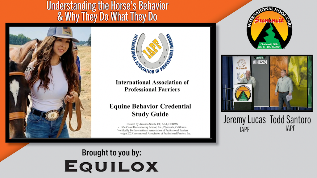 [Video] Understanding the Horse’s Behavior & Why They Do What They Do
