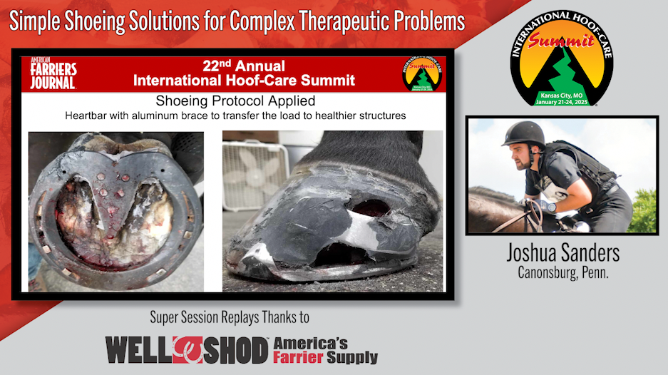 [Video] Simple Shoeing Solutions for Complex Therapeutic Problems