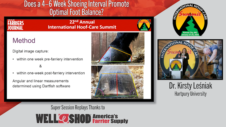 [Video] Does a 4-6 Week Shoeing Interval Promote Optimal Foot Balance?