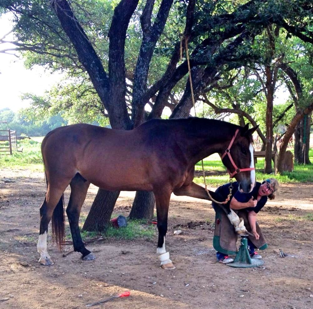 Texas Farrier Stephanie Abbott Passes Away