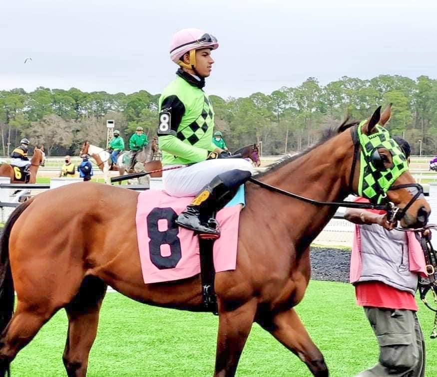 2022 Farriers Week: Farriers Spotlight