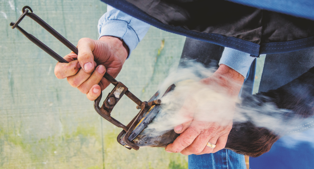 Understand Your Health Risks When Hot Fitting Horseshoes is Necessary