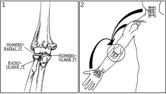 Chronic Elbow Pain | 2000-12-01 | American Farriers Journal