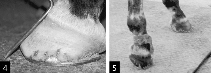 Wisdom From The Past