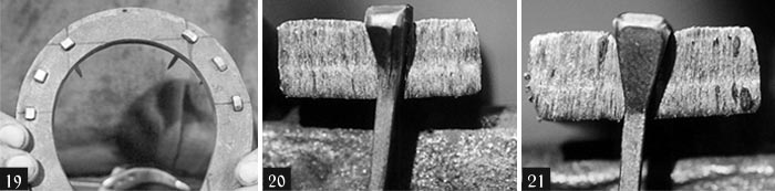 Anatomy Of A Nail Hole