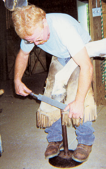 Shoeing's A Real Pain: Preventing back injury and discomfort while ...