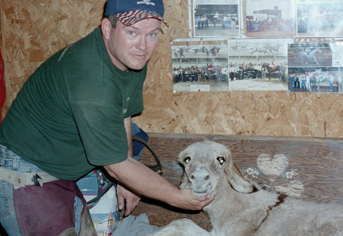A Unique Shoeing Job For A Unique Animal