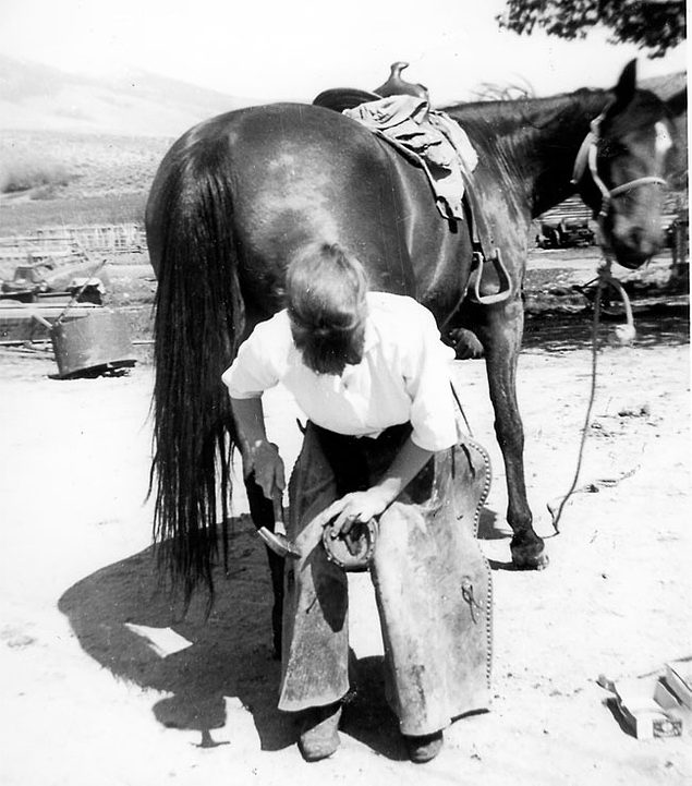 Shoeing Lessons Learned on the