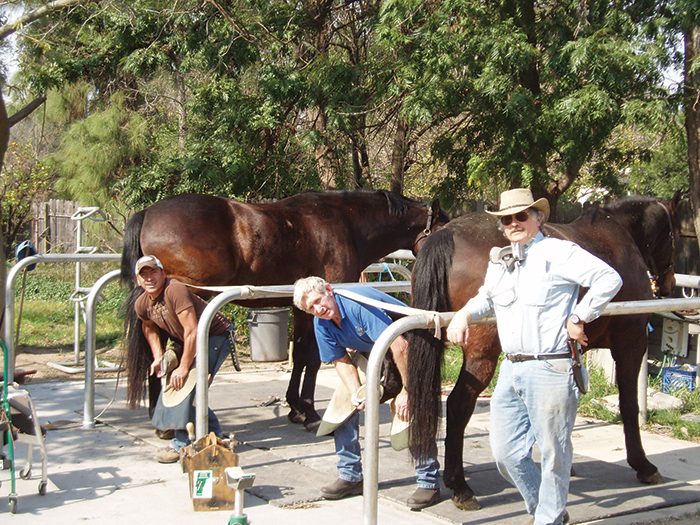 Safe, Secure Shoeing