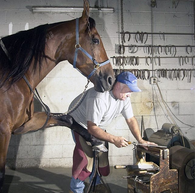brian wall farrier