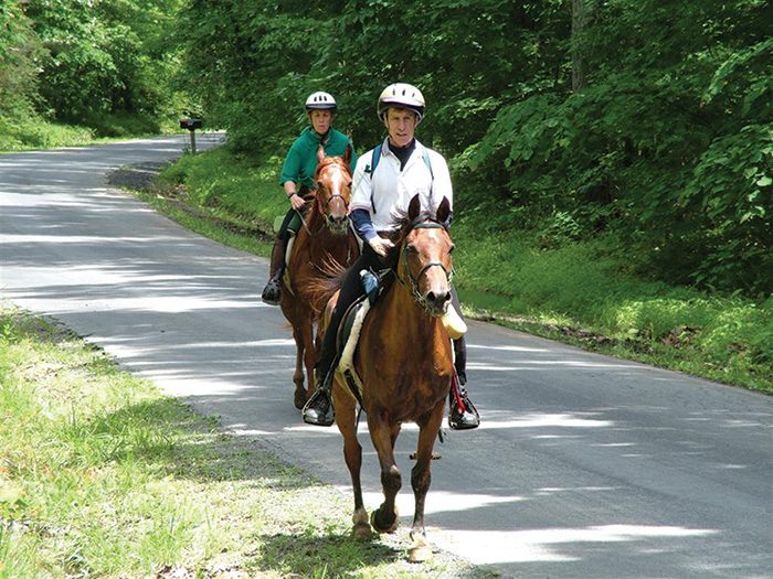 Shoeing For The Long Run