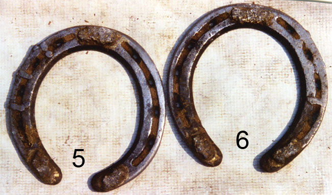 Welds Extend the Life of Draft Horse Shoes | 2006-12-01 | American ...