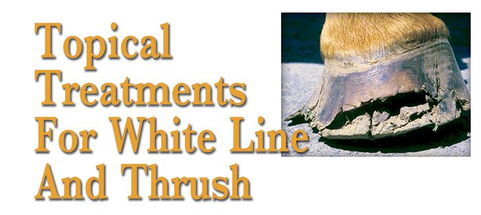Topical Treatments for White Line and Thrush