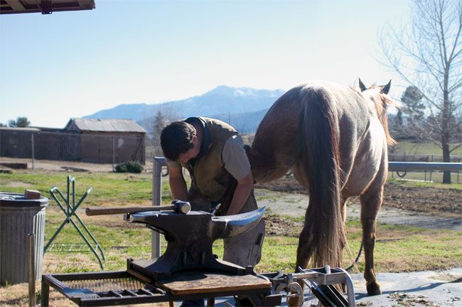 Running a Shoeing Business Instead of Letting it Run you