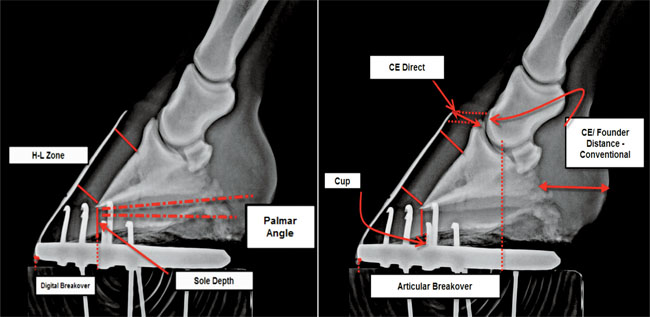 Diagnostic Imaging For Lameness | 2008-04-01 | American Farriers Journal