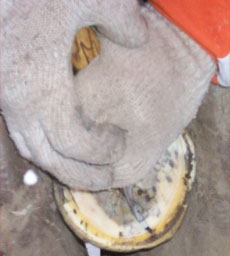 Hoof Trimming Via Hoof Mapping | 2009-03-01 | American Farriers Journal