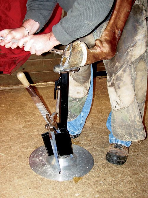 Hoof Trimming Via Hoof Mapping