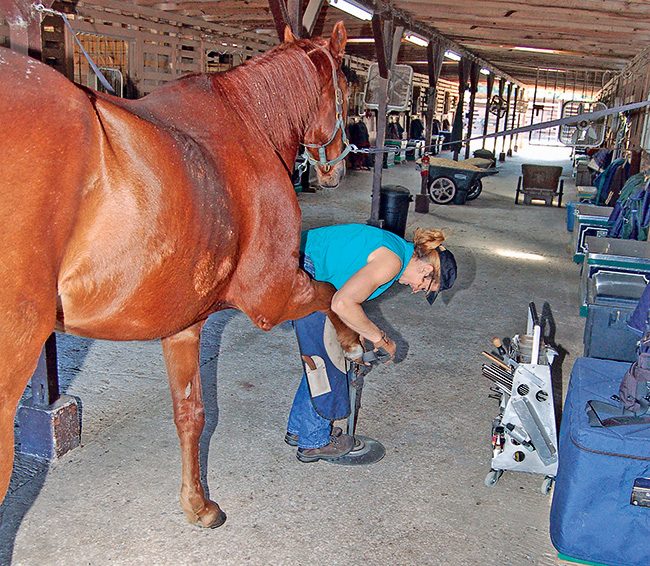 Shoeing For A Living: A Shoeing Career Built on a Strong Foundation