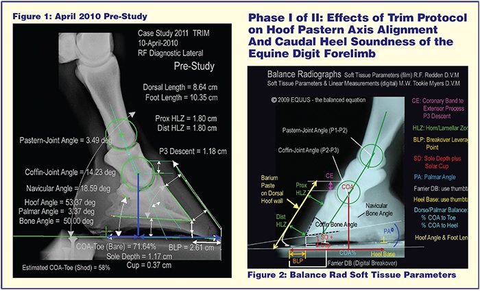 Trimming and the Hoof-Pastern Axis