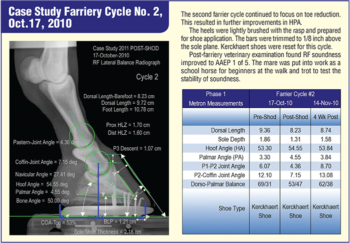 Trimming and the Hoof-Pastern Axis | 7/1/2011 | American Farriers Journal