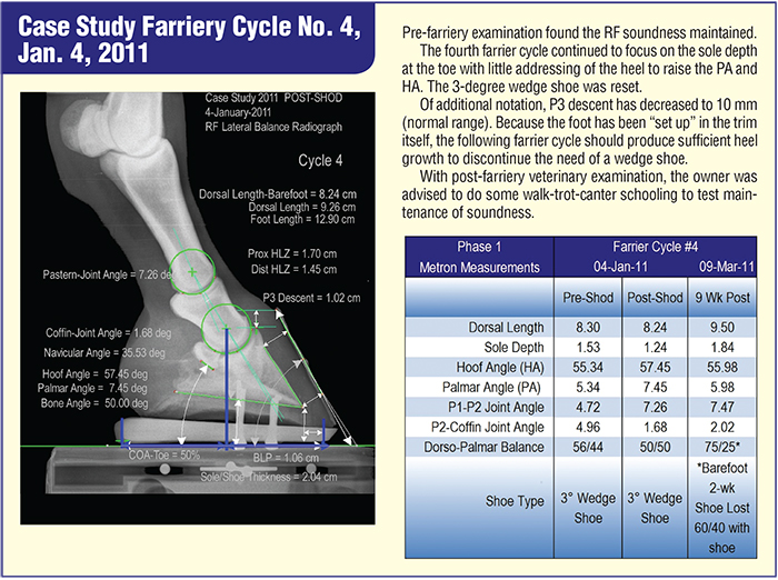 Trimming and the Hoof-Pastern Axis | 7/1/2011 | American Farriers Journal
