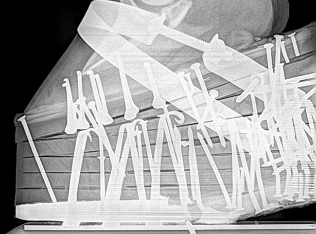 Soring Concerns Continue but Changes are Coming