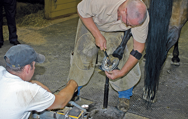 The Farrier Apprentice: Part 2 Of A Two-Part Series — On The Job Learning
