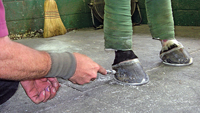 Living Life In The Slow Lane, But Shoeing On A Fast Track | 2012-09-01 ...