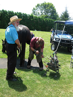 Meet Eli Beiler: The New Breed of Amish Farrier