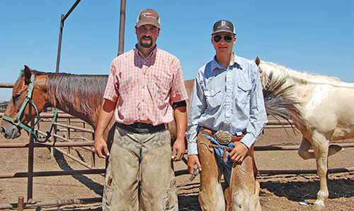 Shoeing Real Cow Horses