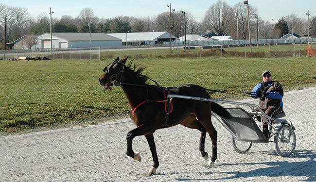 Lessons Learned In Becoming A Diversified Farrier