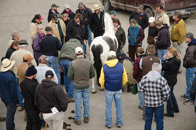 Consistency Counts When Laminitis Is Suspected