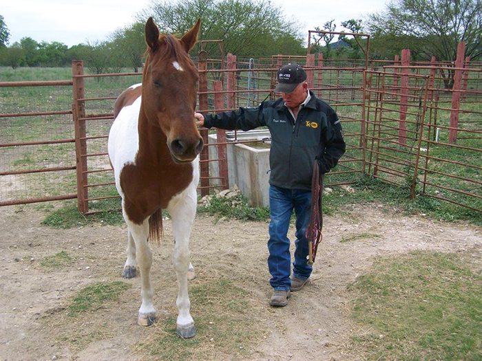 Spotlight on Hoof Care: Age Is Not A Factor In Farriers’ Quest For ...