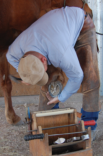 Delivering As An All-Around Farrier | 2013-12-01 | American Farriers ...