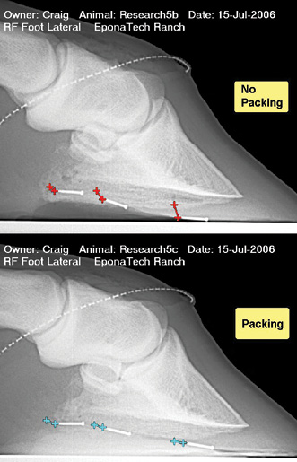 Using An Evidence-Based Treatment In A Fractured Navicular Bone Case ...