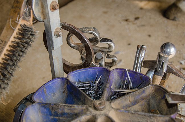 Select The Correct Tools Of The Trade | 2014 | Getting Started In Hoof Care