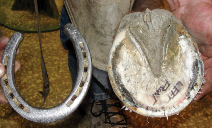 Recognize Improper Shoe Fit And Size | 2015-01-01 | ePublishing