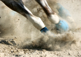 Concussion and the Equine Foot