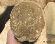 Supporting the Ledge