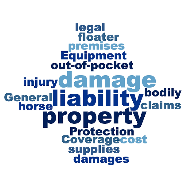 Protect Your Practice and Yourself with Liability Insurance