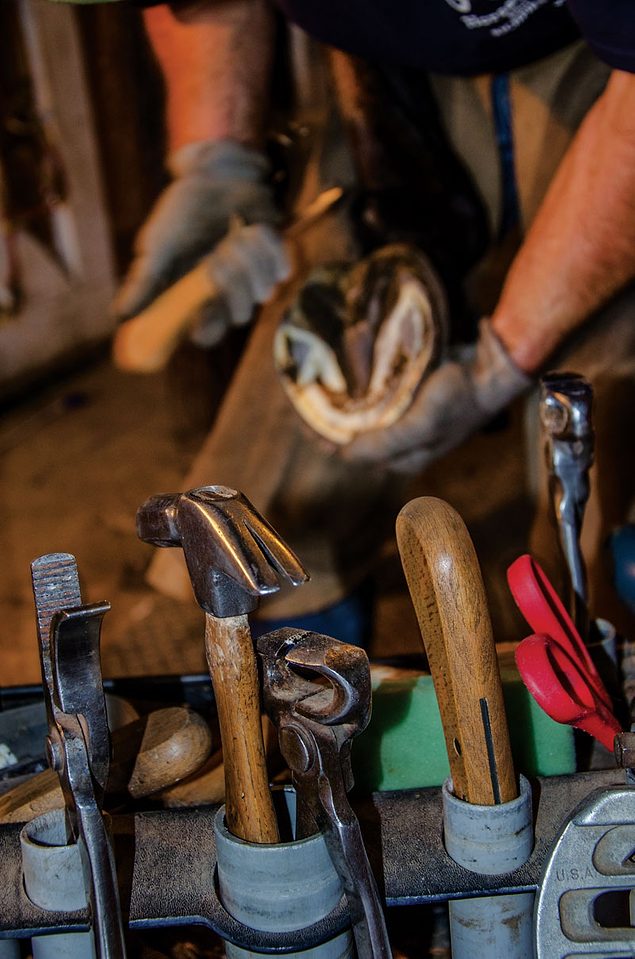 Shop Smart When Filling Your Shoeing Box