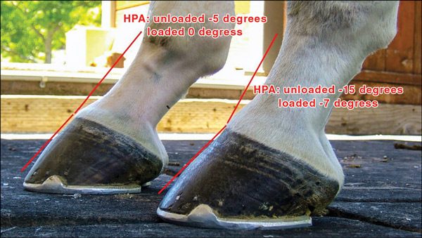 Measurement of the Hoof-Pastern Axis for Foot Management