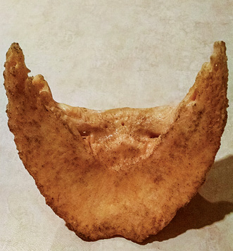 Getting To The Bottom Of Toe Cracks | 2016-05-09 | American Farriers ...