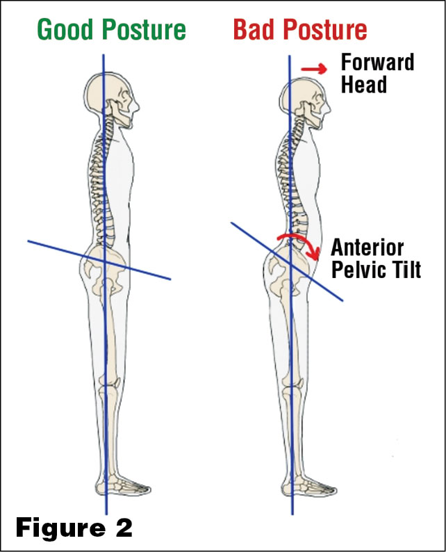 Quick And Easy Exercises That Will Prolong Your Career | 2016-11-07 ...