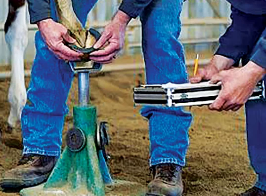 Changes Come To AFA Certification Process