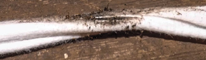 Farriers Sweat the Small Stuff to Keep Performance Horses Competing