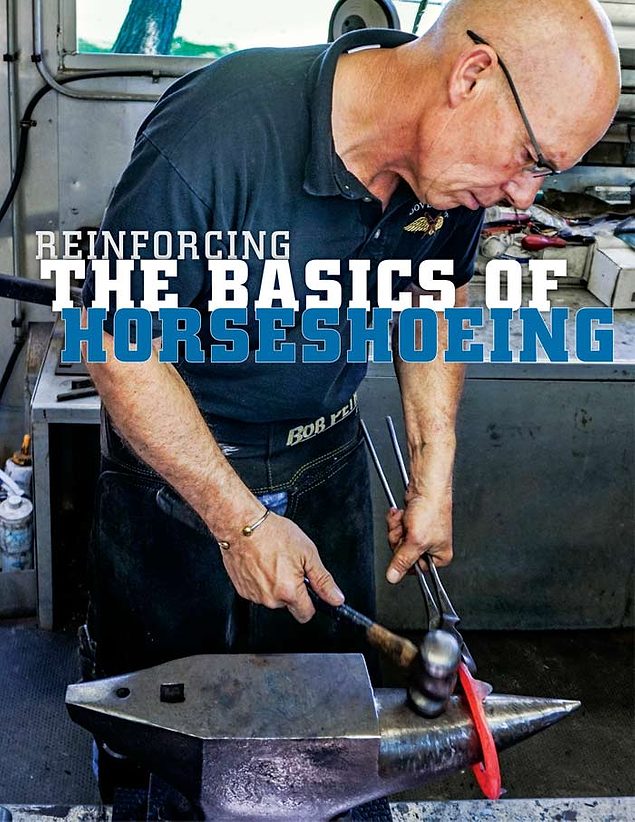 Reinforcing the Basics of Horseshoeing
