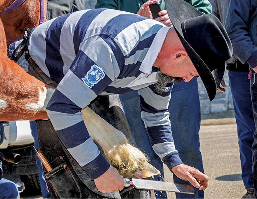 Life As A Farrier? Start Here