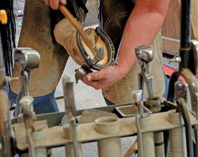 Filling Your Shoeing Box For The First Time