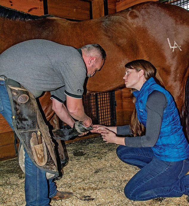 Build A Great Team With Farriers